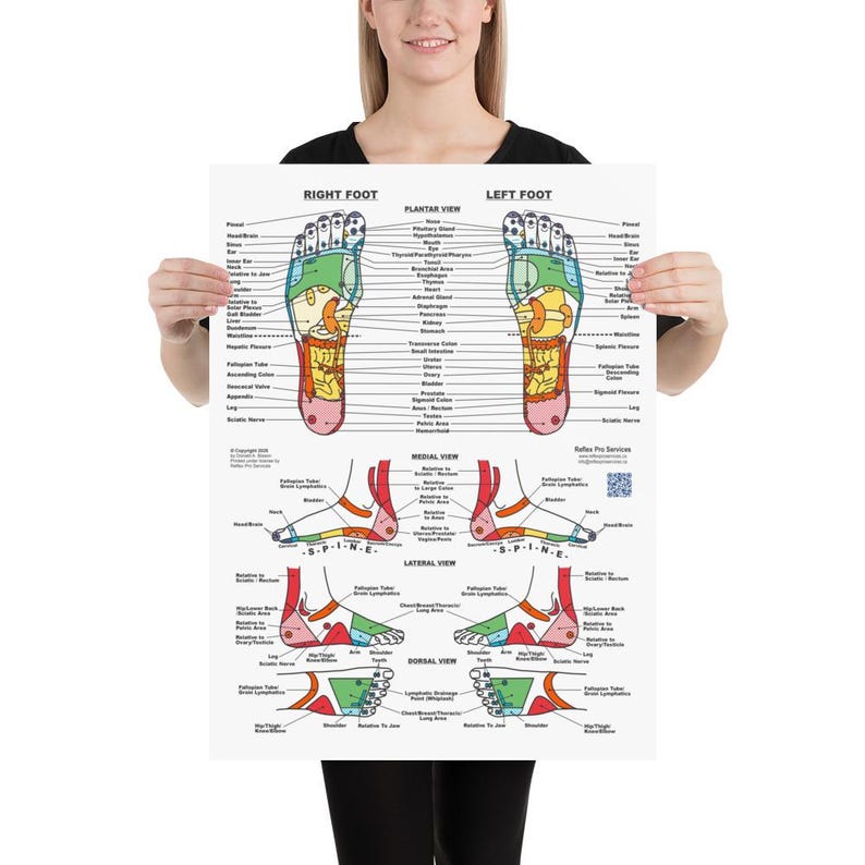 Reflexology Foot Chart Poster | Enhanced Matte Paper | 5 Sizes - Etsy