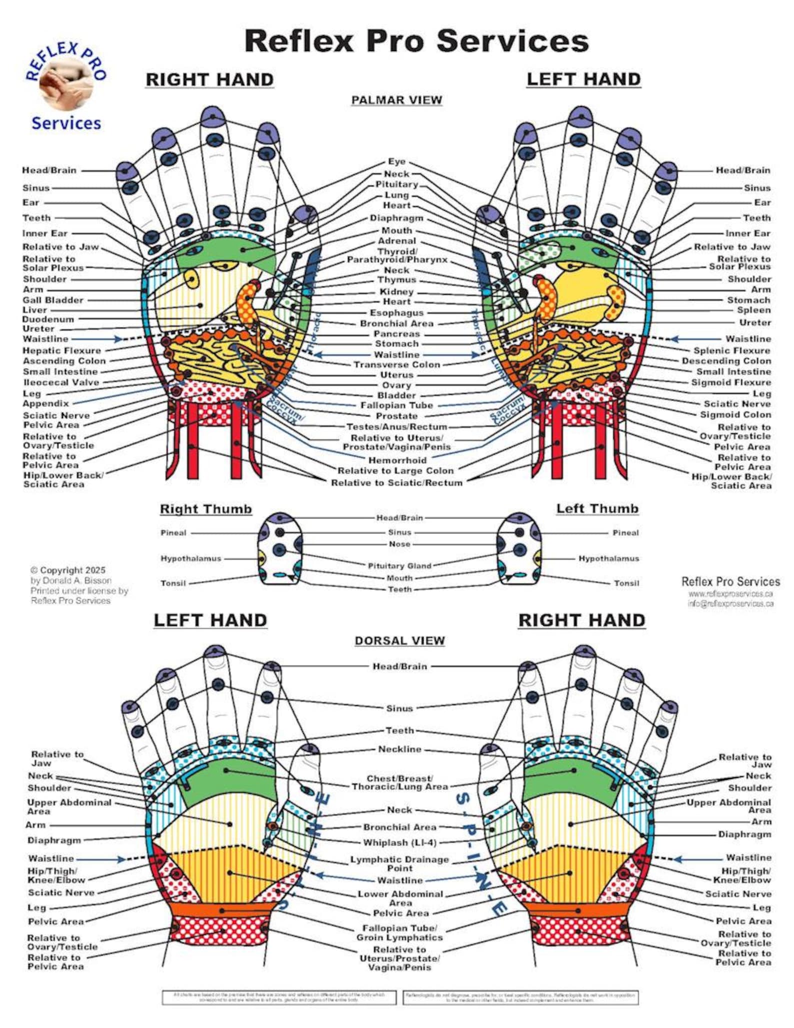 Reflexology Foot and Hand Charts PDF – Instant Download – Clinical ...