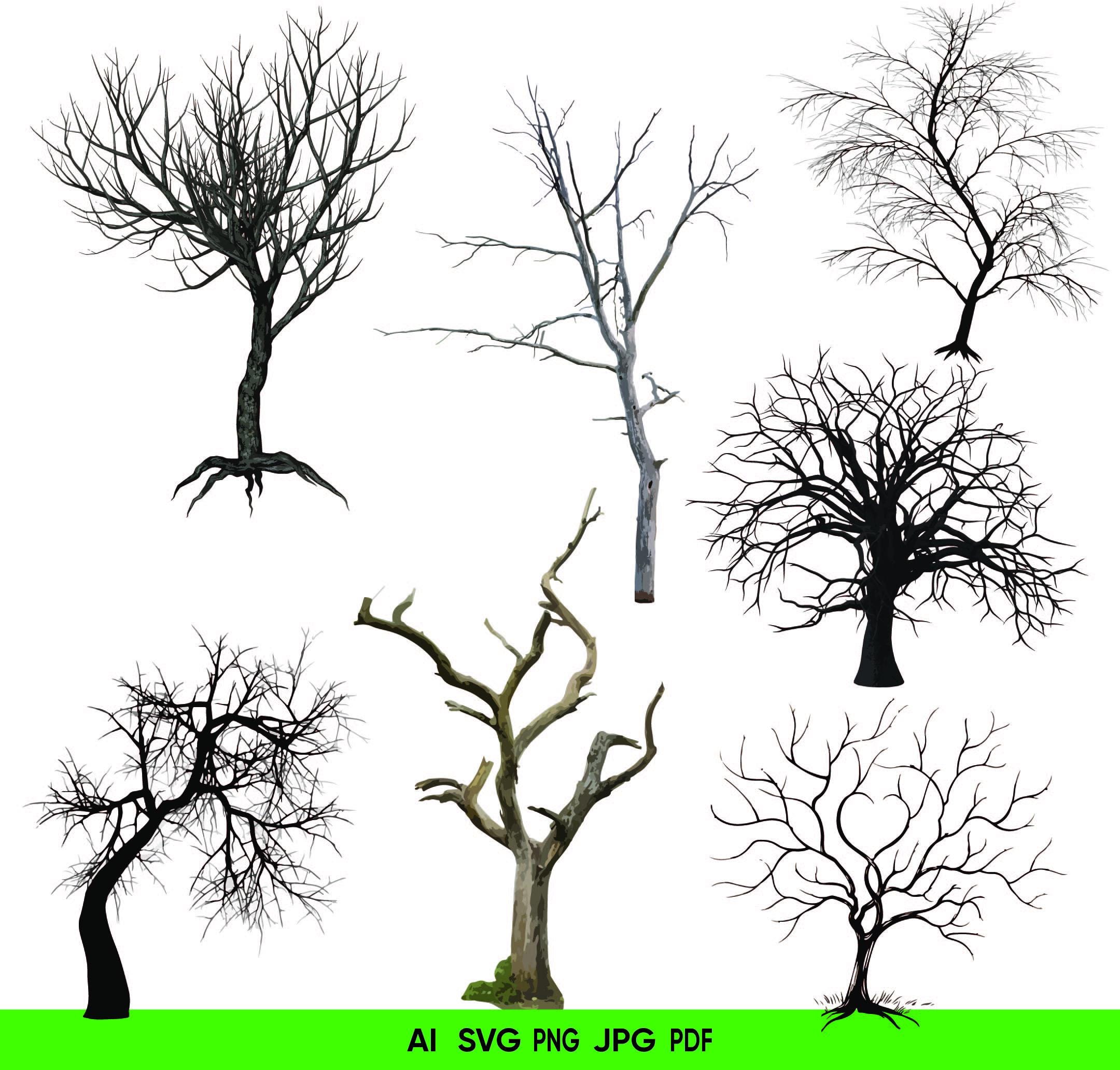 Bare Tree SVG Bundle, Leafless Tree Clipart (digital Download) - Etsy