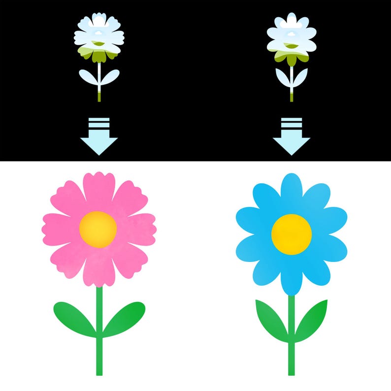 Flower Canva Frames Template, Flower Template Canva, Spring Flowers ...