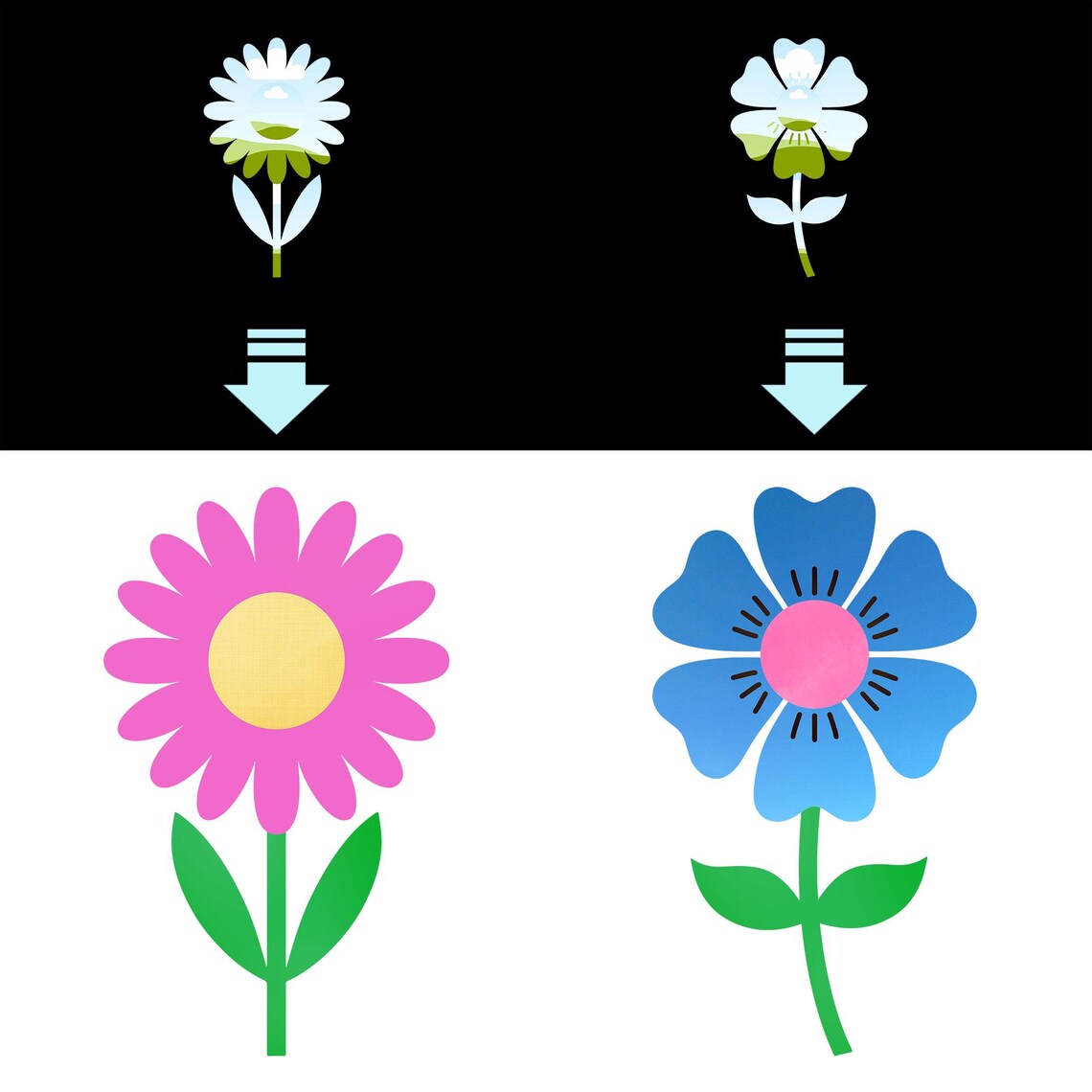 Flower Canva Frames Template, Flower Template Canva, Spring Flowers ...