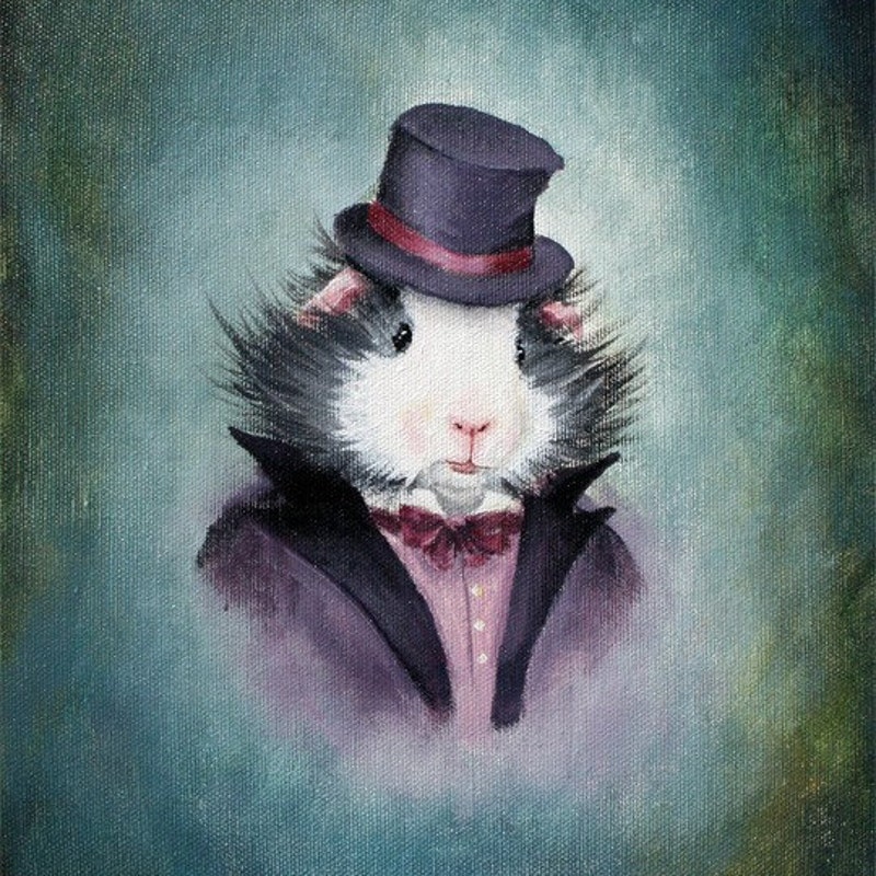 WhenGuineaPigsFly - Etsy