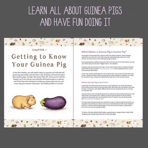 The Guinea Pig Guide - Guinea Pig Care Book - PDF - Over 100 Pages Plus ...