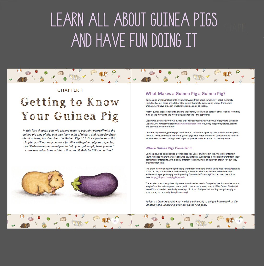 The Guinea Pig Guide Guinea Pig Care Book PDF Over 100 - Etsy Australia