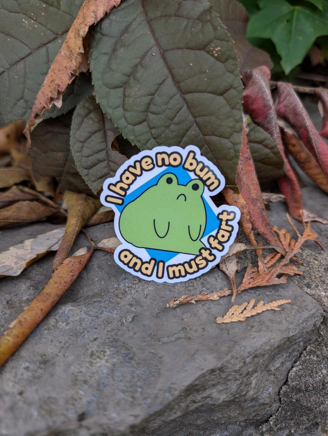 No Bum Sad Frog Sticker, Holographic Glossy Die Cut, Funny Vinyl Gift ...