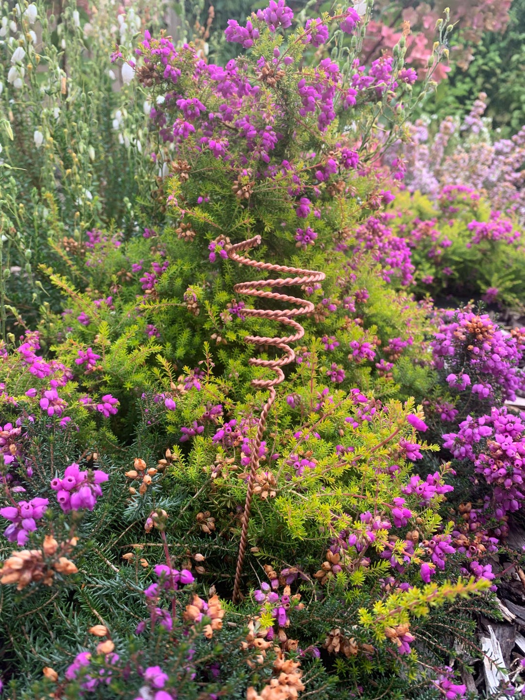 Handmade Electroculture Copper Antenna: Fibonacci Plant Booster, Walter ...