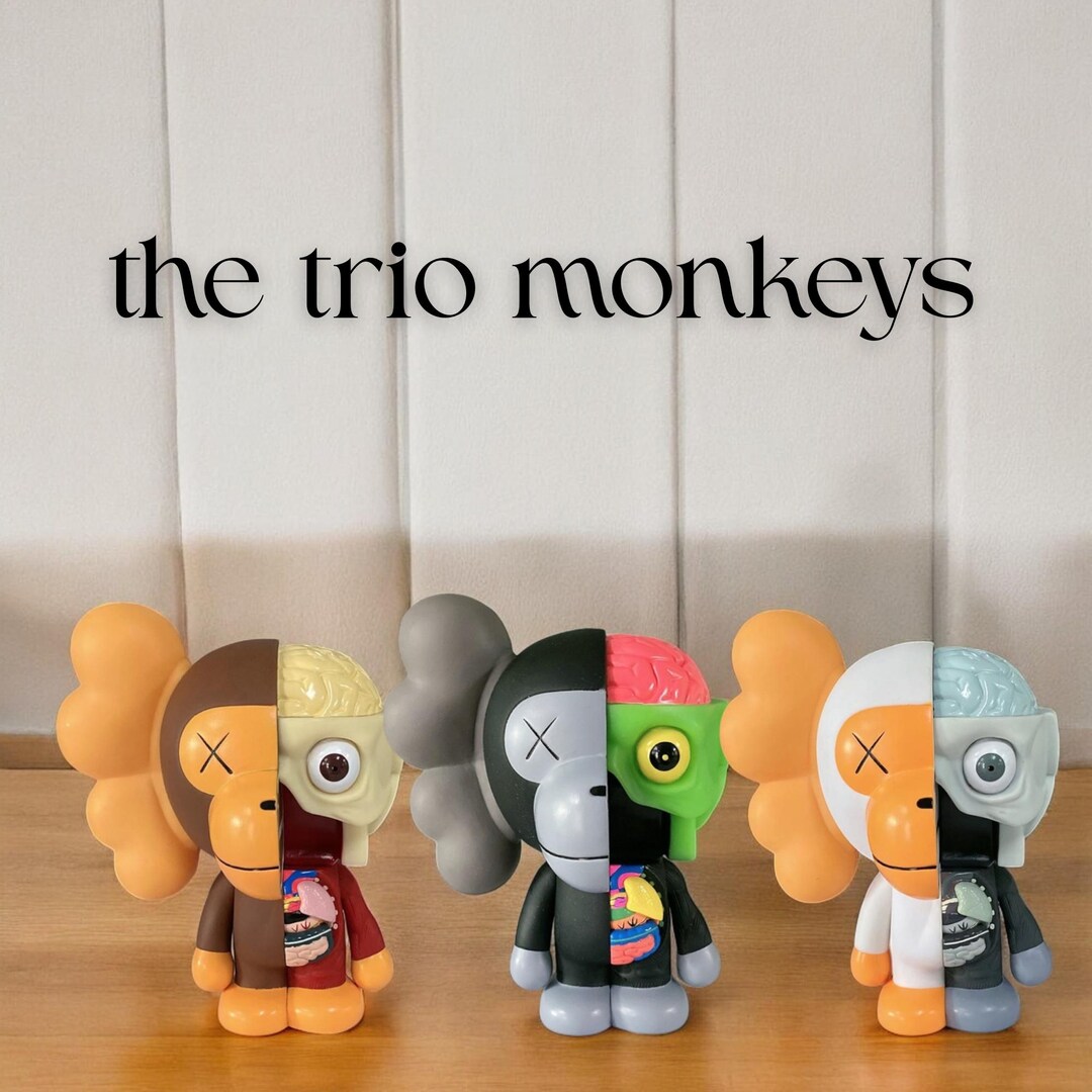 Collectible Monkey Anatomy Figurine: Modern Desk Decor, Unique Artistic ...