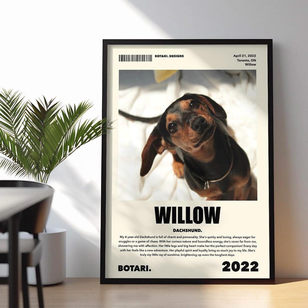 Custom PET Poster Designs // Album or Paragraph Design // Dogs and Cats ...