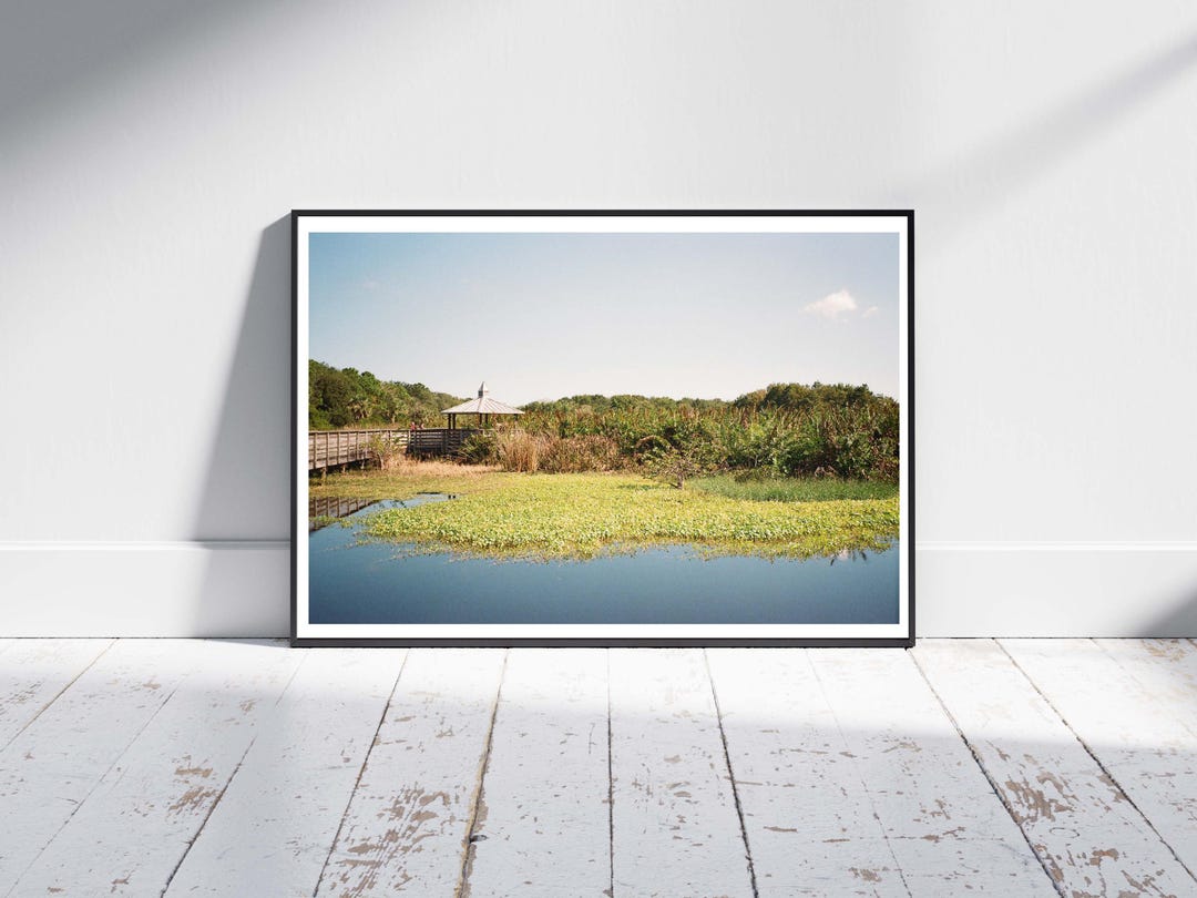 Wetland Boardwalk, Film Photograph, Matte Horizontal Poster, Serene ...