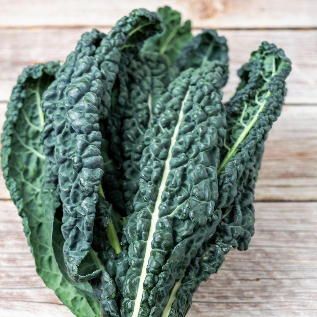 Toscano Kale Live Plant | USDA Organic | Nutrient-dense Green for Home Gardens - Etsy