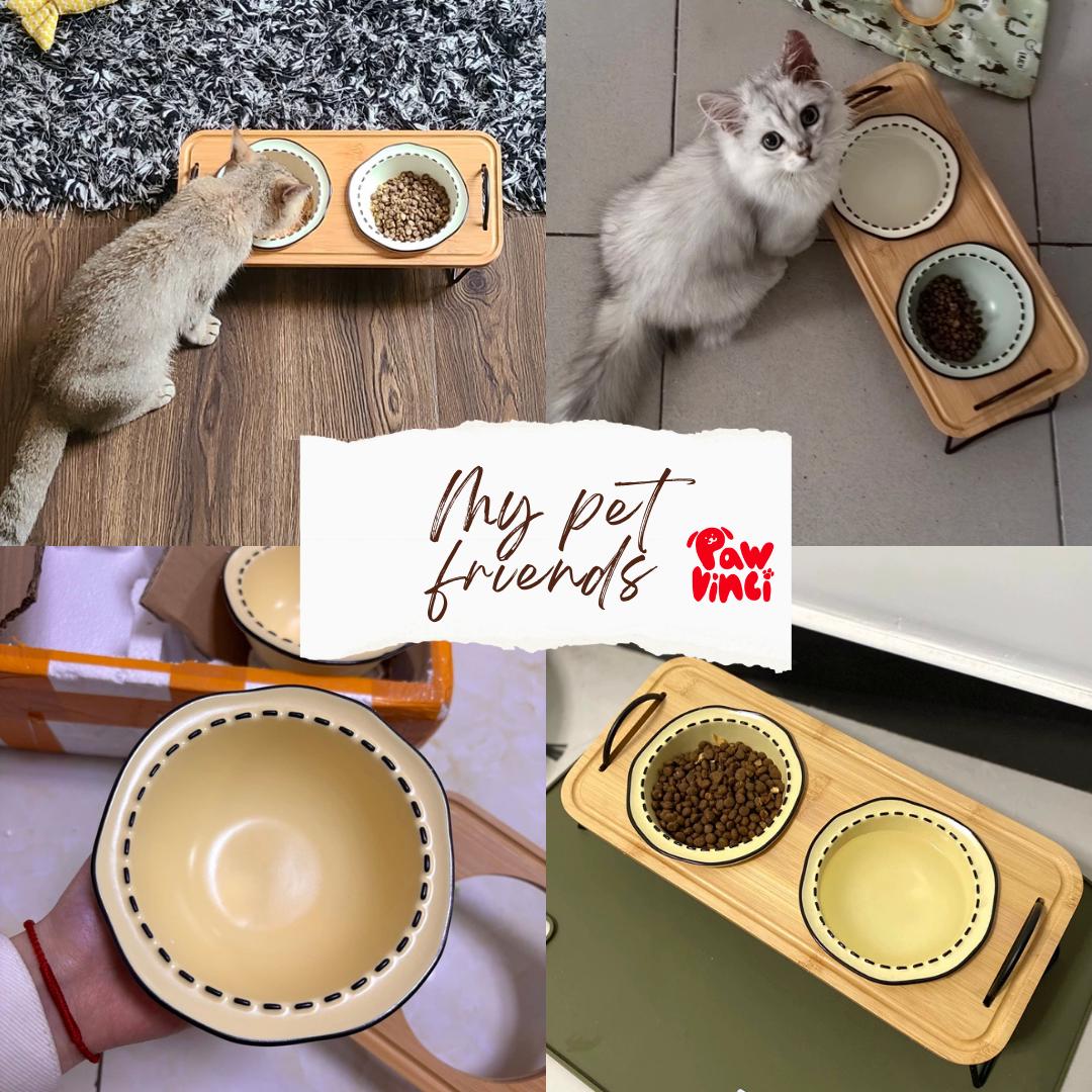 Elevated Cat Bowl Stand, Ceramic Pet Feeder With Wooden Tray, Raised ...