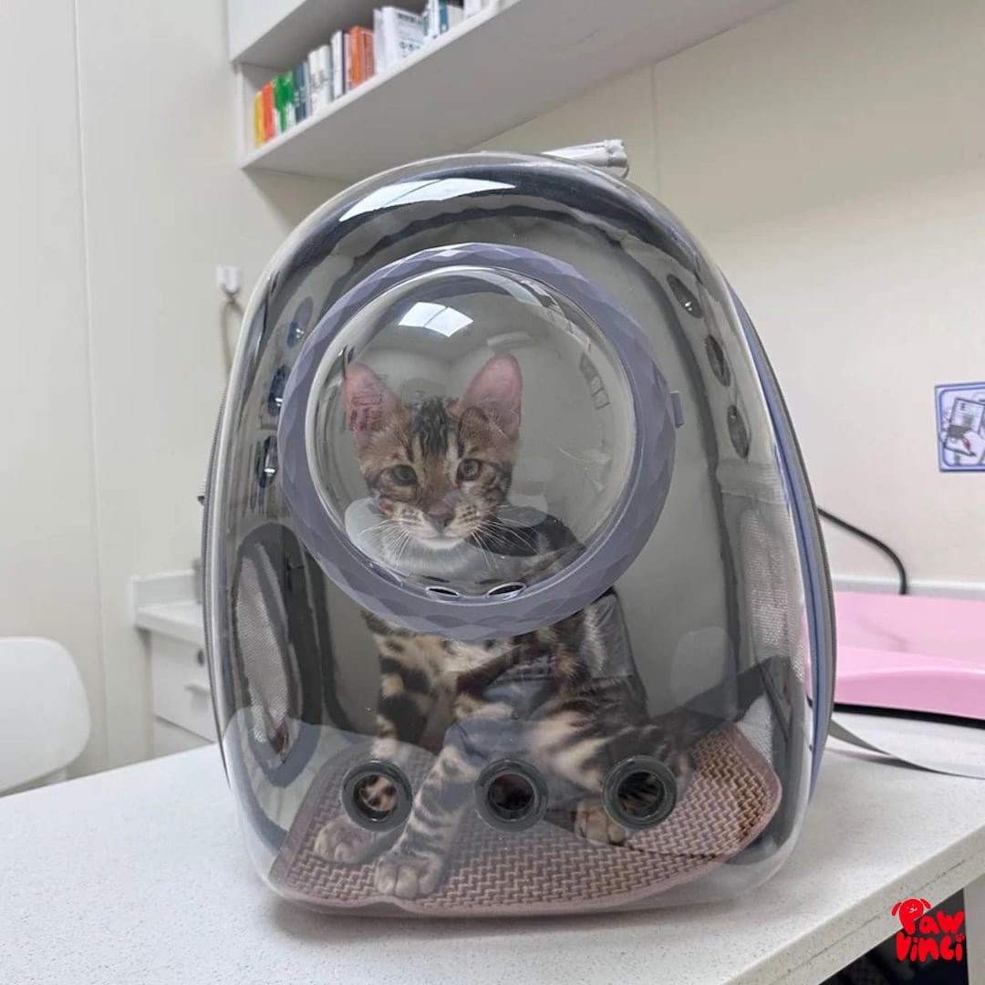 Space Capsule Pet Backpack Carrier - Transparent Bubble for Cats ...