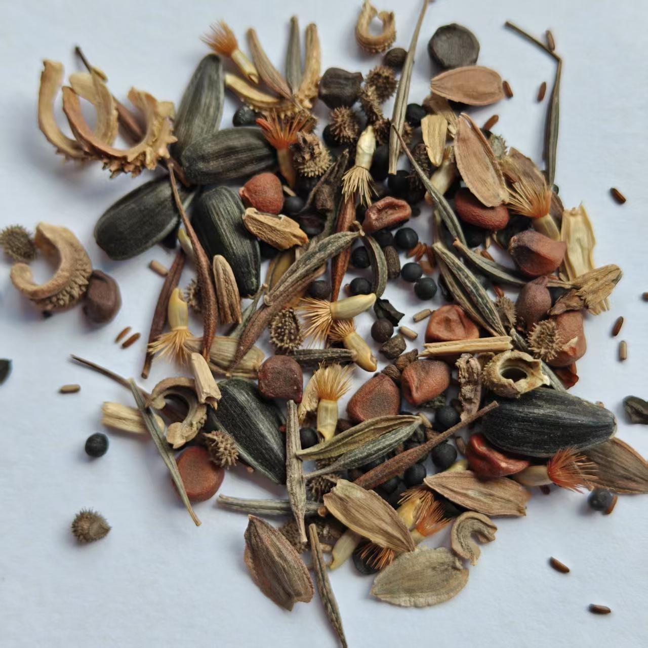 In Loving Memory Wildflower Seed Packets, Custom Memorial Favors ...