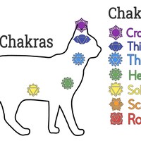 Dog Chakra Printable | Dog Chakra Points | Animal Chakra | Dog Chakra ...