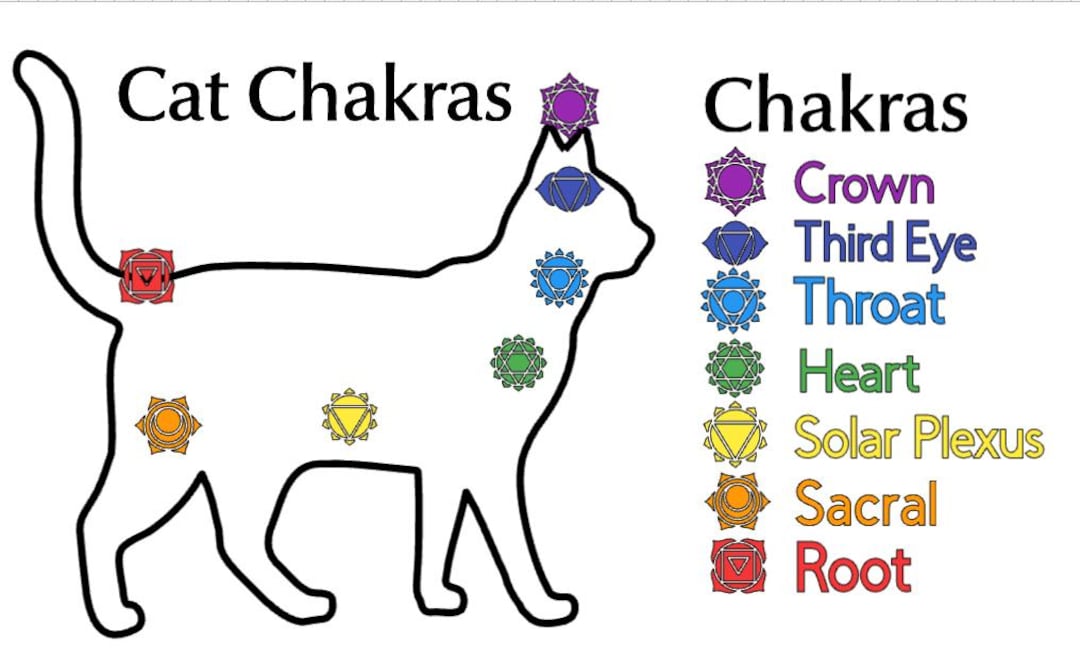 Cat Chakra Digital Download - Etsy