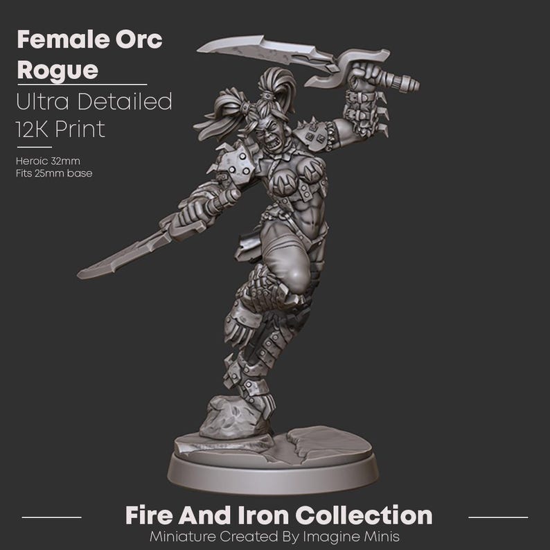 Female Orc Rogue & Assassin Miniatures | 12K Resin Prints for Dnd | Wow ...