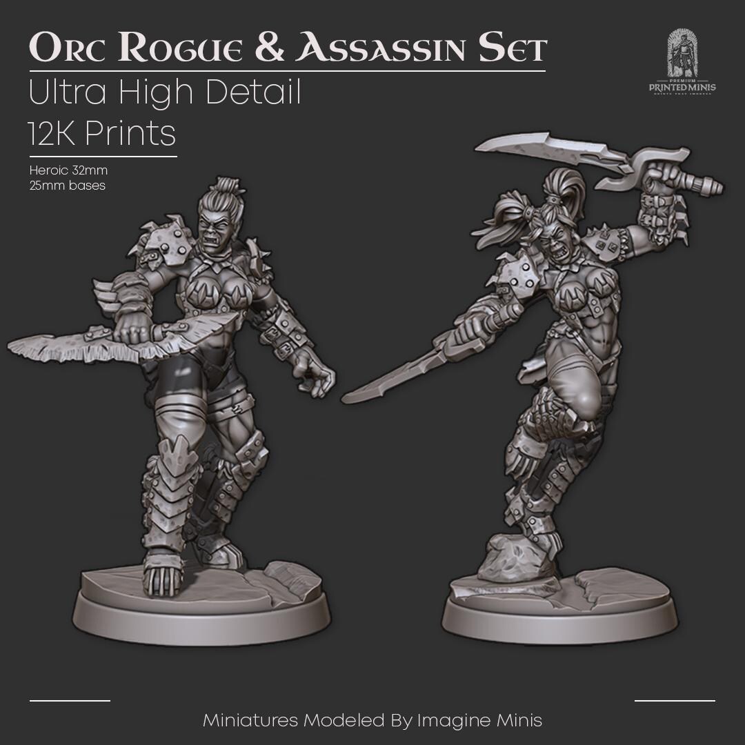 Female Orc Rogue & Assassin Miniatures | 12K Resin Prints for Dnd | Wow ...