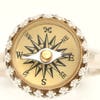 Working Compass Ring Sterling Silver, Silver Twig Ring, Compass Jewelry ...