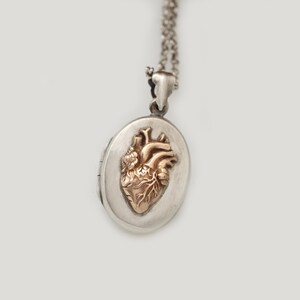 Anatomical Heart Locket, Heart Transplant Jewelry, Compass Locket ...