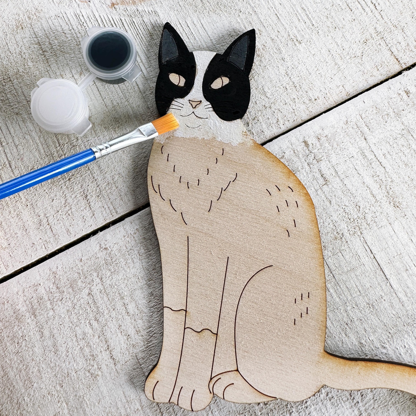 Cat Lovers Collection - Craft Kit for Kids & Adults - Etsy
