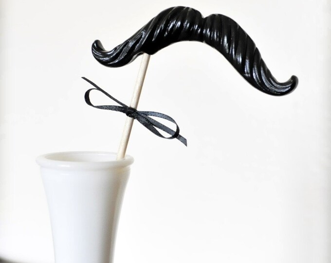 The Guru Mustache on a Stick Single - Etsy