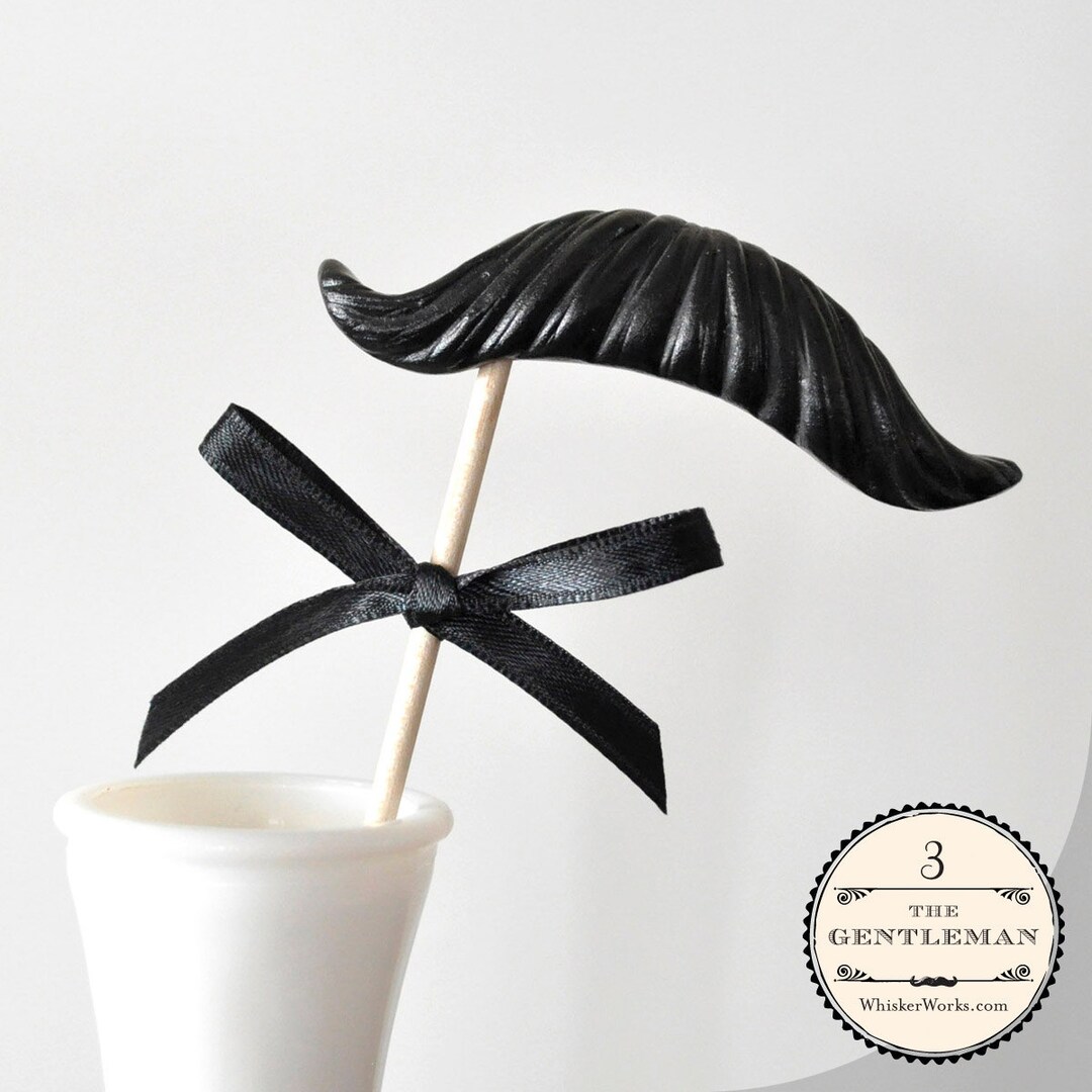 Mustache on a Stick - the Gentleman - Plastic Photo Booth Prop - Black ...