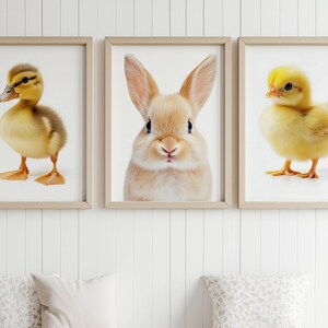 PRINTABLE Baby Farm Animal Nursery Collection, Mix and Match Bundle ...