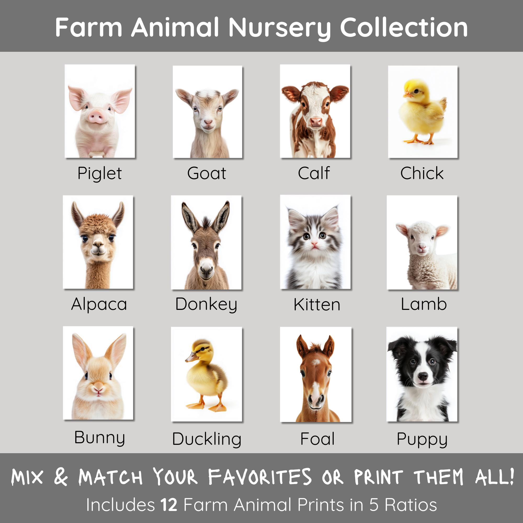 PRINTABLE Baby Farm Animal Nursery Collection, Mix and Match Bundle ...