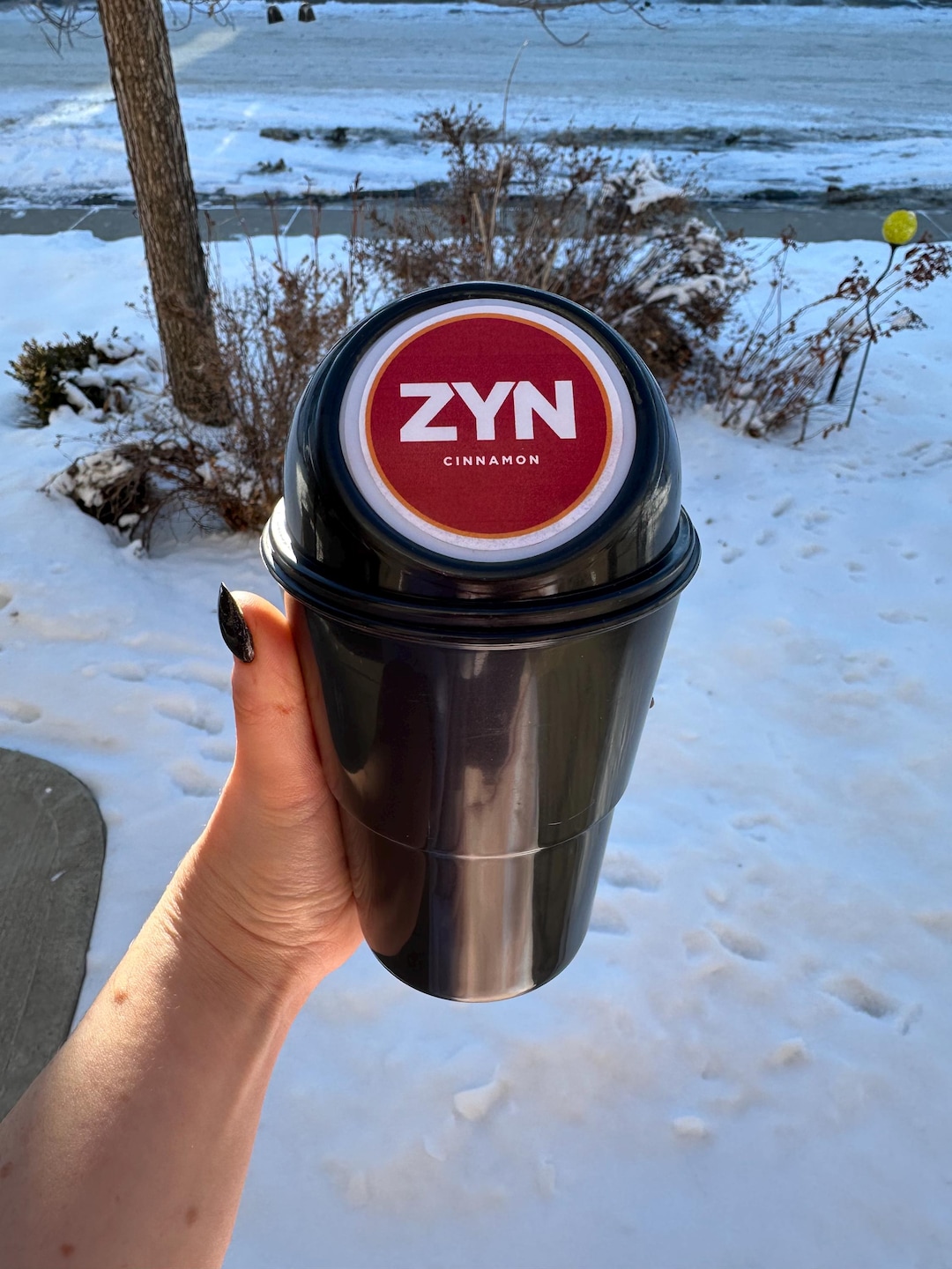 Zyn Byn Garbage Cans / Mini Garbage Bin / Gift for Dad, Boyfriend ...