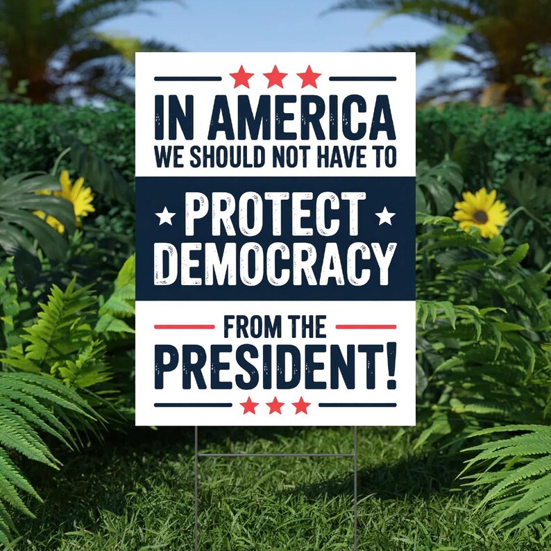 No Kings Protect Democracy Protest Sign: Resist Fascism, Anti Trump ...