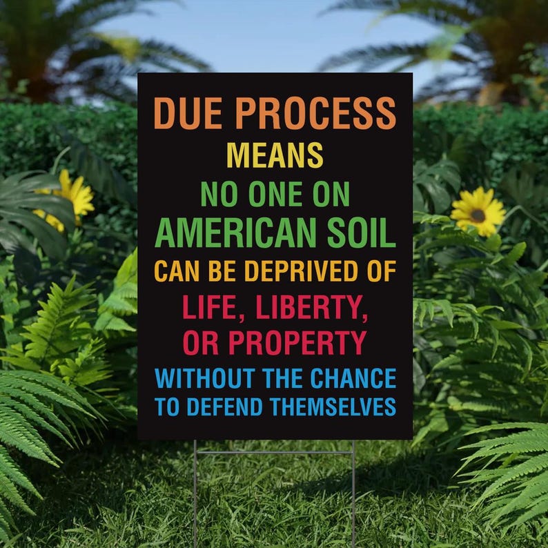 Due Process Protest Sign: Protect Democracy Anti Trump Poster, Anti ...