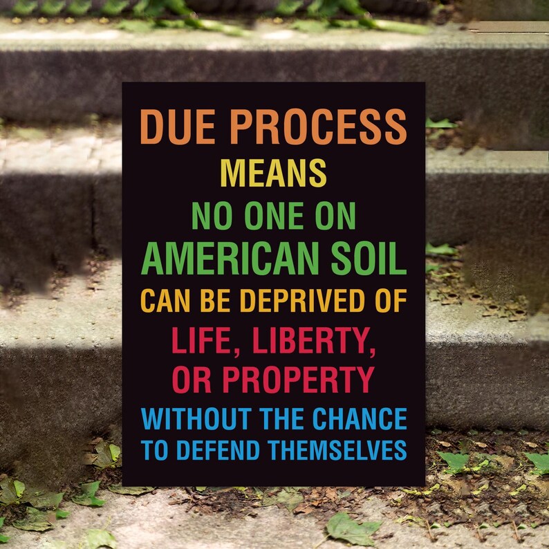 Due Process Protest Sign: Protect Democracy Anti Trump Poster, Anti ...