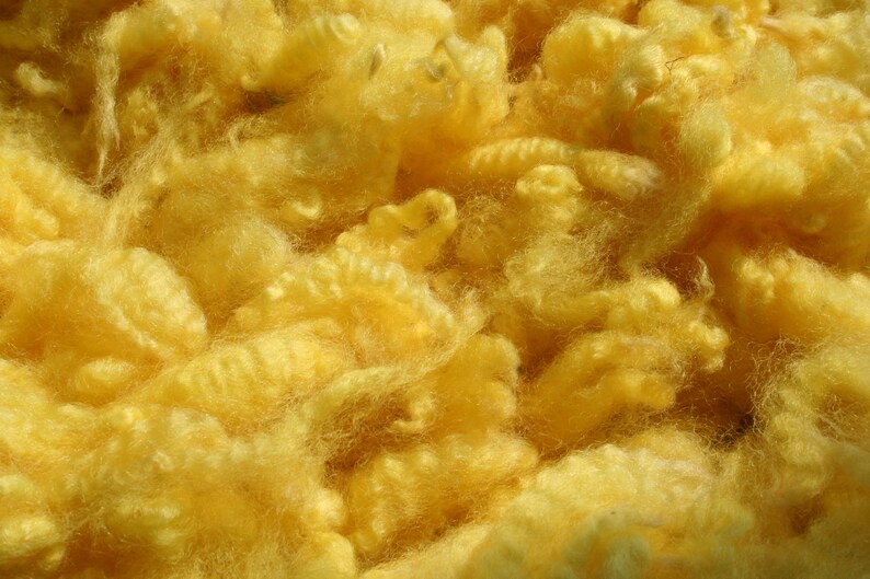 Border Leicester Lamb X Wool Fiber Wool Locks Lemon 2oz | Etsy