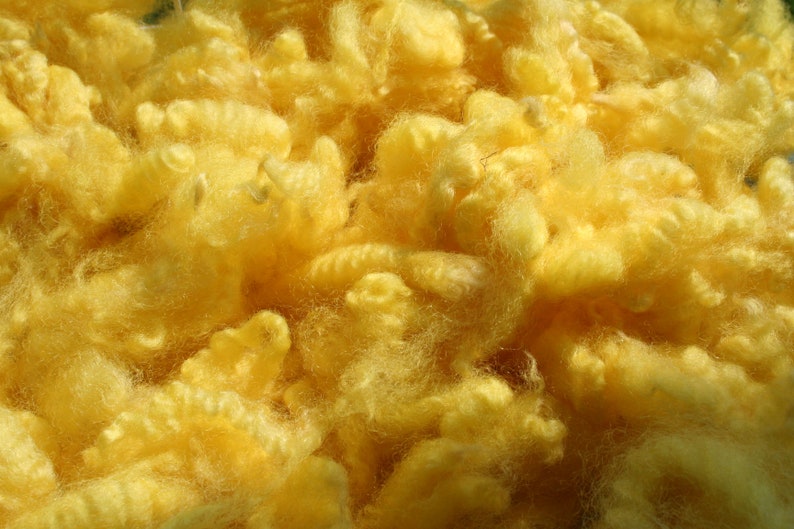 Border Leicester Lamb X Wool Fiber Wool Locks Lemon 2oz | Etsy