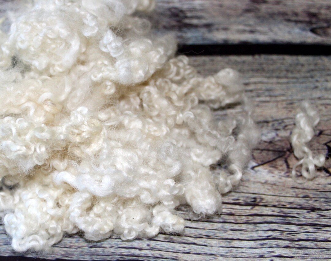 Elvis 1oz. Blue Faced Leicester Curly Locks. Tiny Neck Curly Locks ...