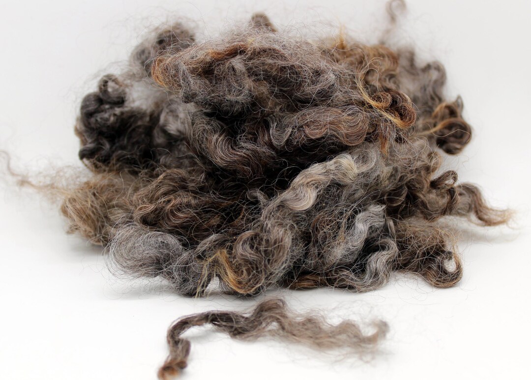 1oz Multi Gray Leicester Long Wool Curly Locks. Curly Felting Locks ...