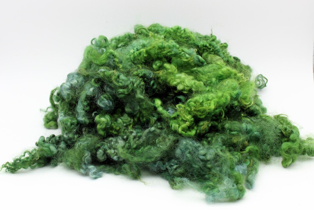 1 Oz. Dyed BFL X Wool Locks, Fir Tree Green Locks. Clean but Slightly ...