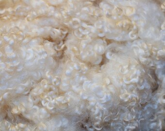 Natural Undyed White/cream Masham 9-13" 10g, Curly Wool Locks, Perfect ...