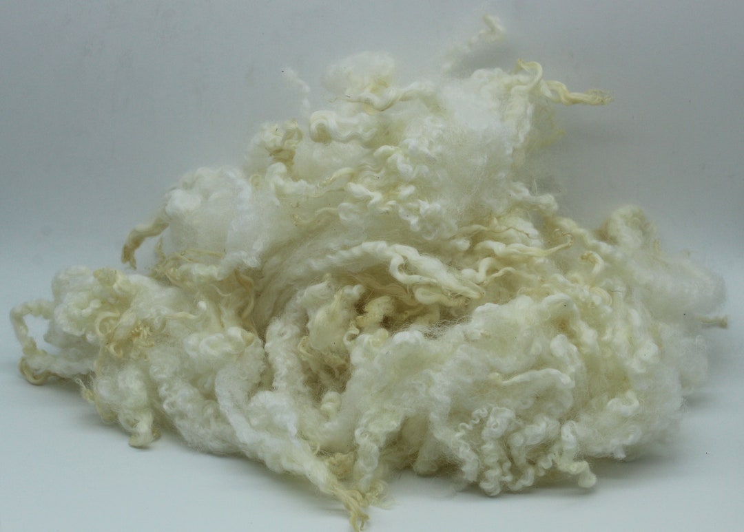 1oz Wensleydale/bl White Wool Lamb Locks. Curly Felting Locks, White ...