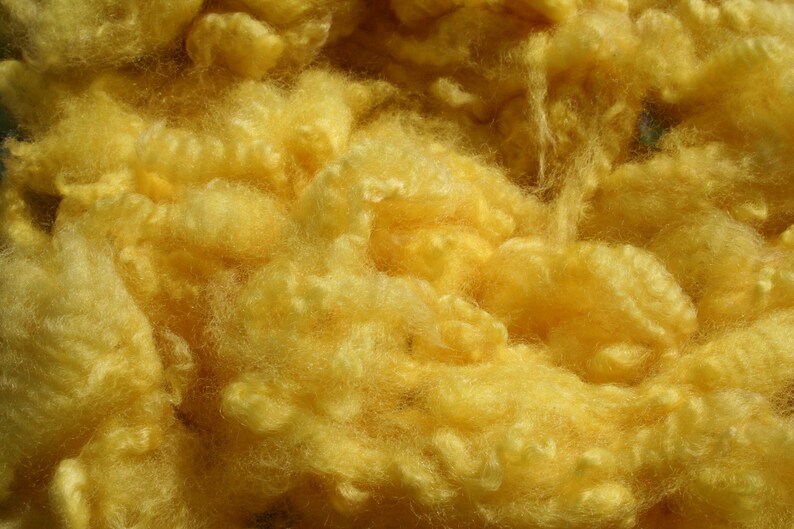 Border Leicester Lamb X Wool Fiber Wool Locks Lemon 2oz | Etsy