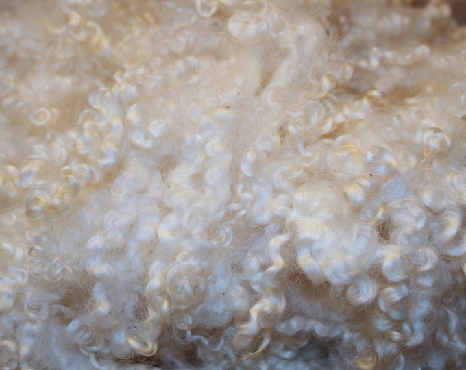 1oz. Wensleydale 6–7-inch Natural Cream White Wool Locks. Felting ...