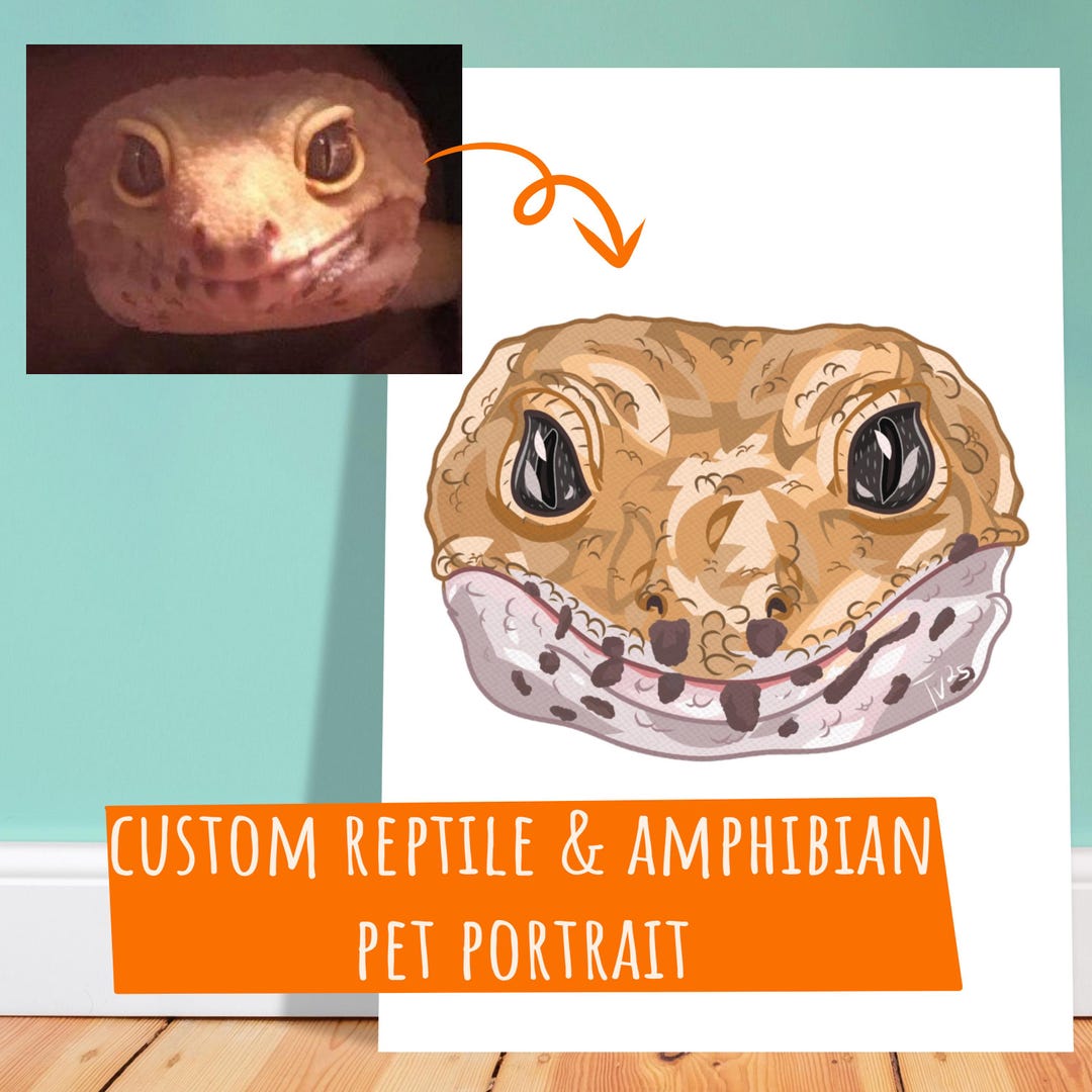 Custom Reptile and Amphibian Pet Portrait, Personalised Lizard Snake ...