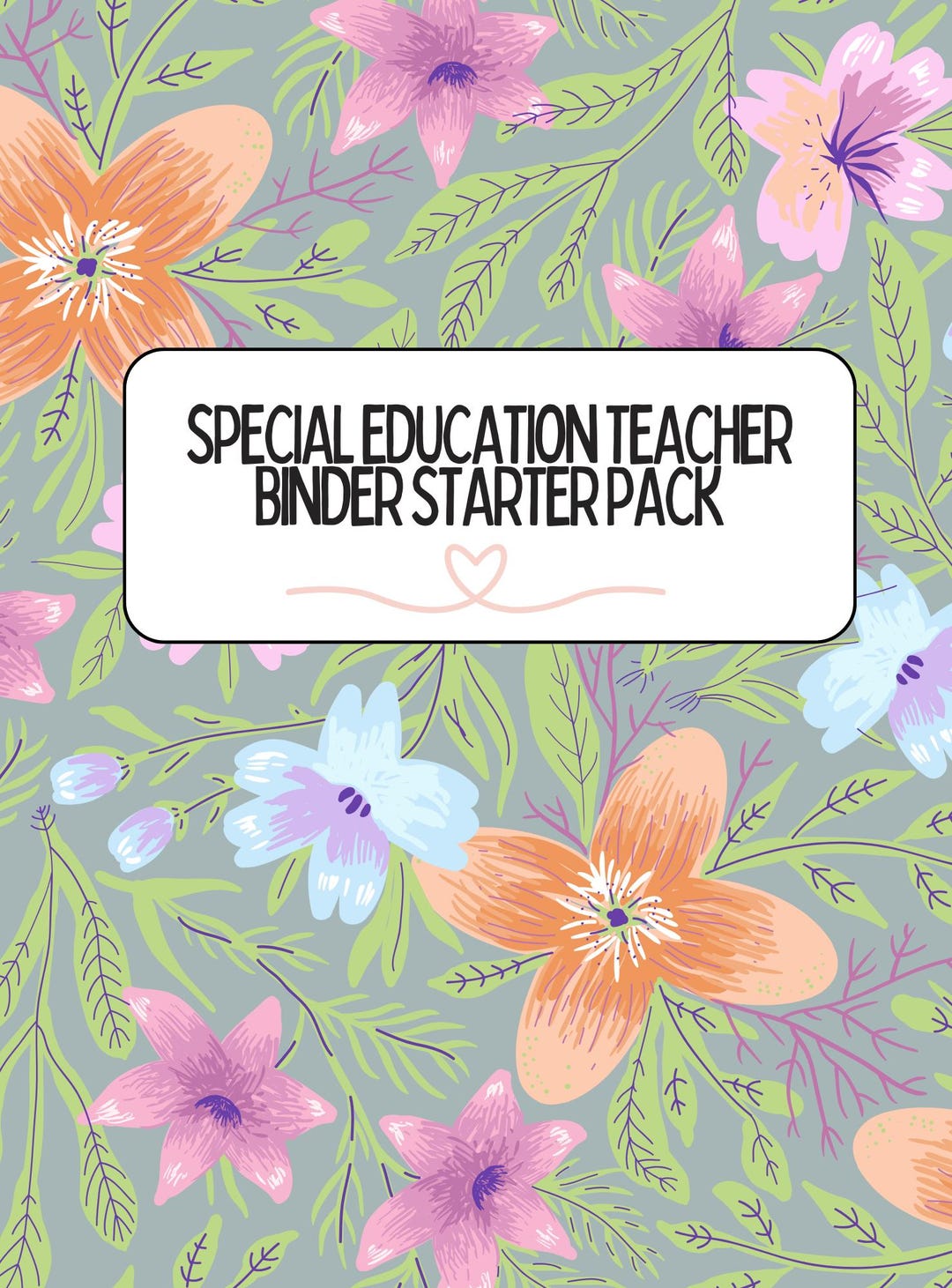 Special Education Teacher Binder Templates | IEP at a Glance, Data ...
