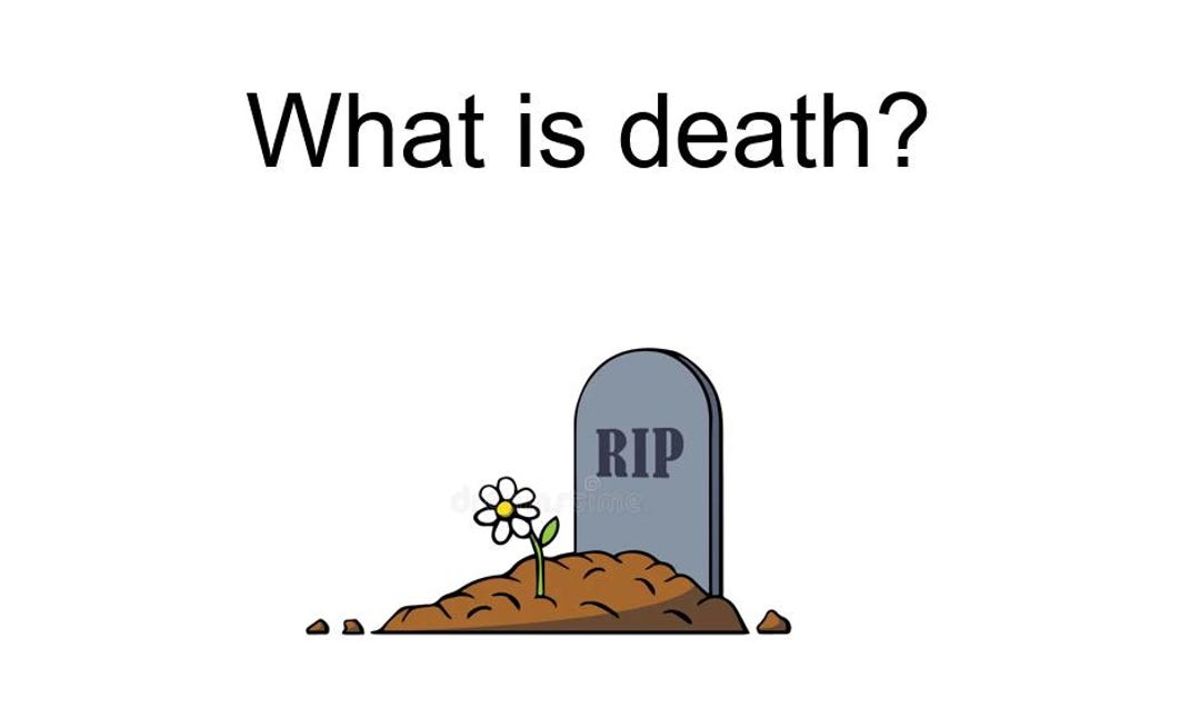 What is Death? Social Story - Etsy