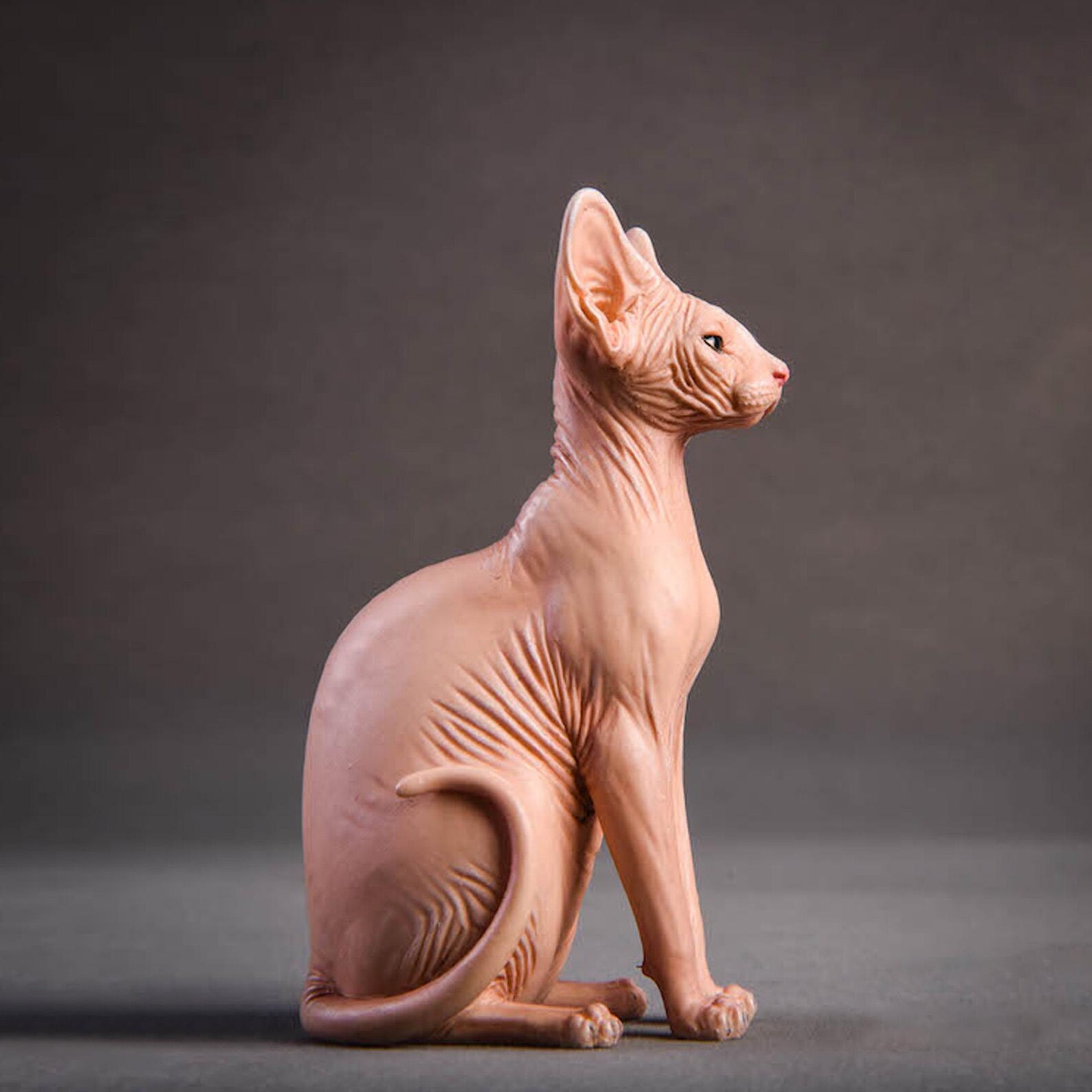 JXK Studio Custom Sphynx Cat Statue, Hand-painted Resin Pet Memorial - Etsy