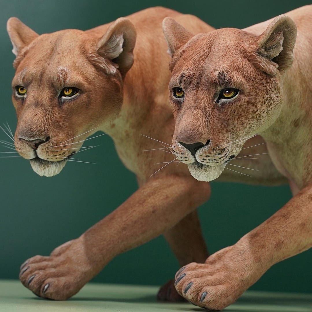 JXK Studio Handcrafted Lioness Figurine – Realistic Resin Wildlife ...