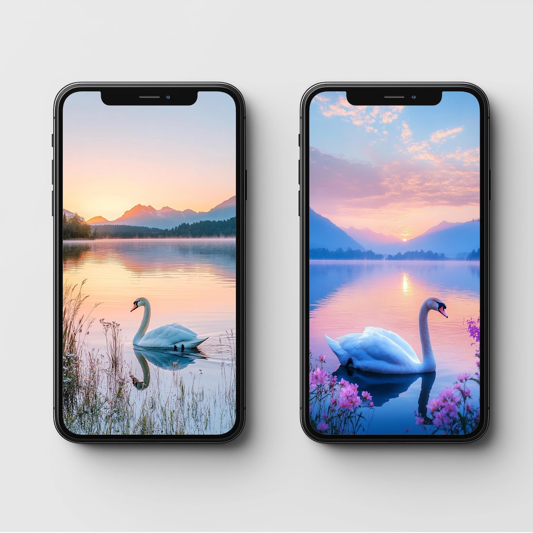4 SWAN Phone Wallpaperswan Digital Download iPhone Screensaver Android ...