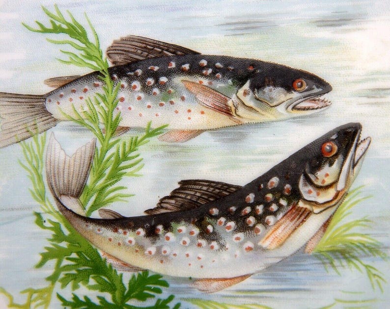 Antique - Vint. Haviland Limoges Set of 11 Transfer & Painted Fish ...