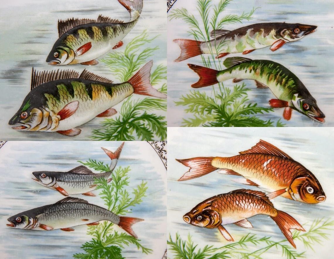 Antique - Vint. Haviland Limoges Set of 11 Transfer & Painted Fish ...