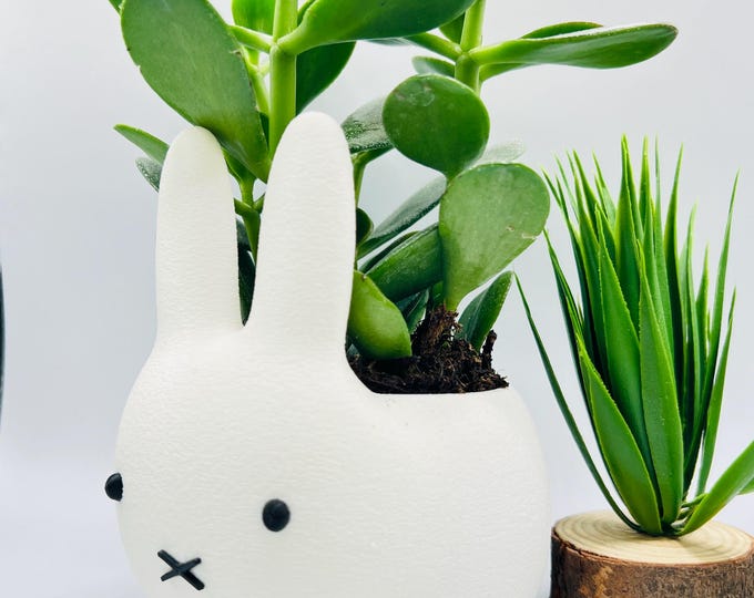 Vintage Peter Rabbit Flower Pot, Cute Indoor Bunny Planter, Sweet Peter ...